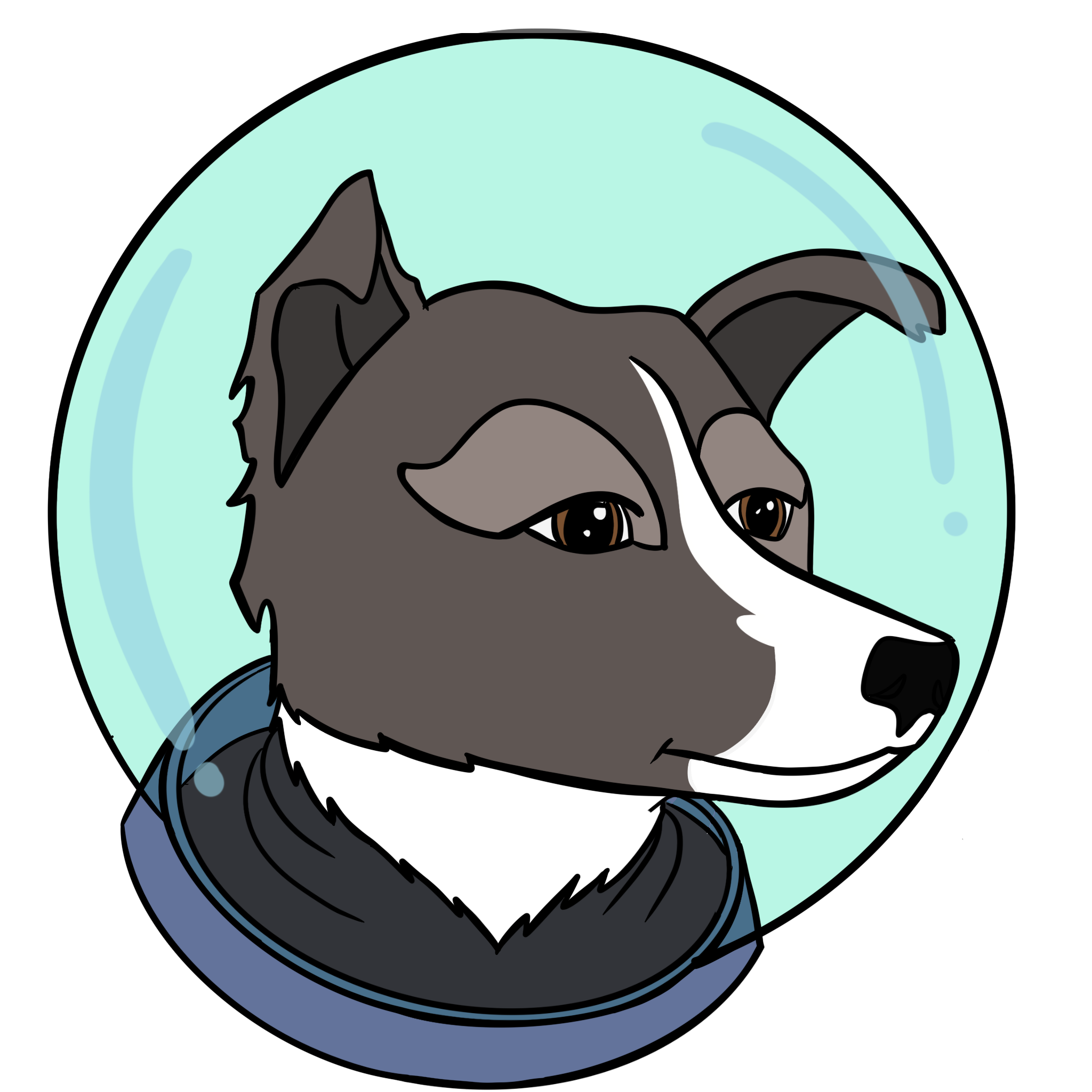 Laika – Coin